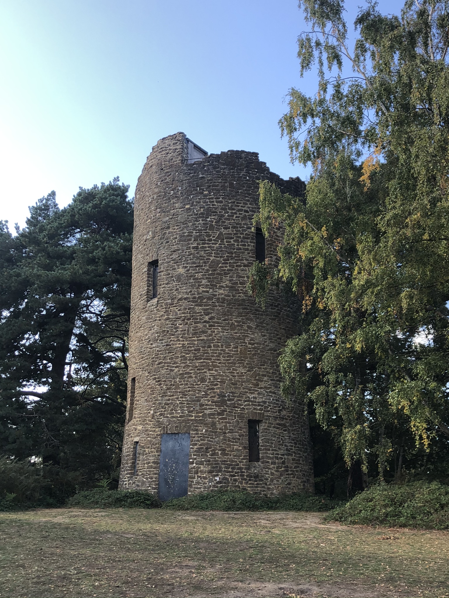 The Surrey Hills – Fancying France