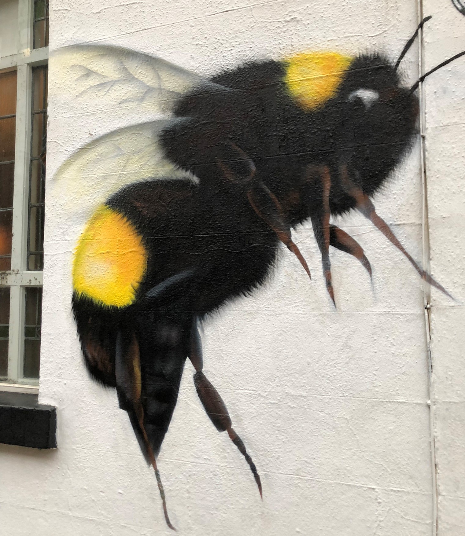 Glimpses of Manchester… – Fancying France