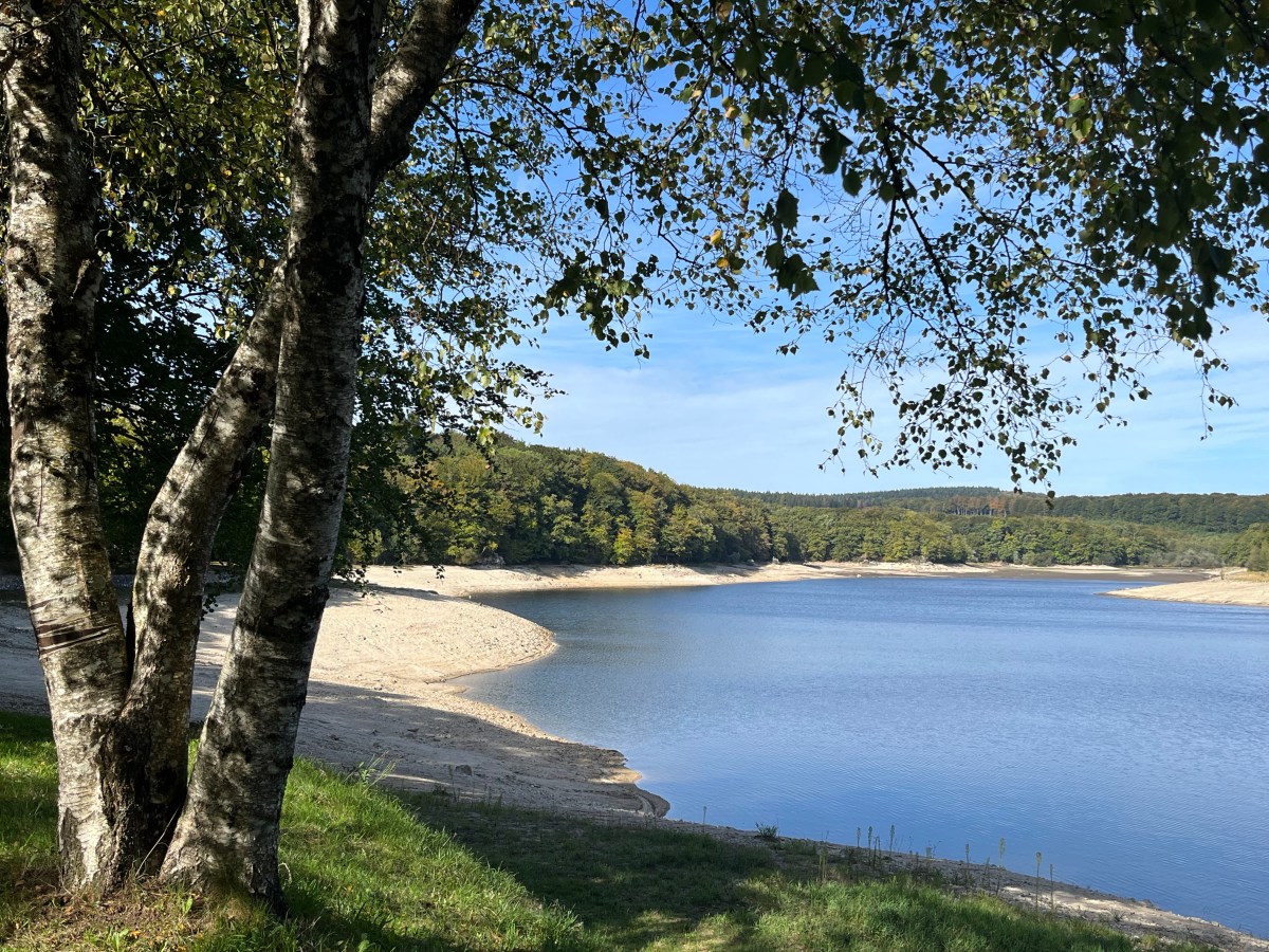 A walk around le Bassin du Lampy – Fancying France